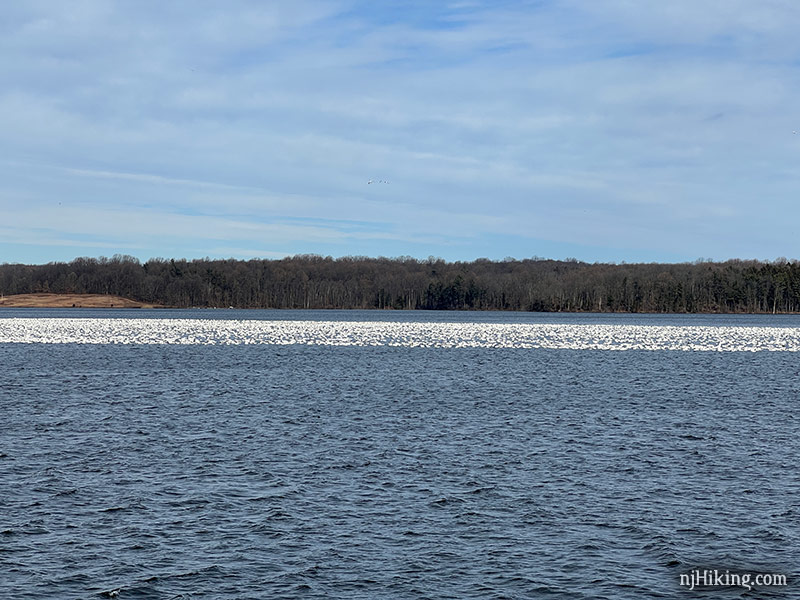 Merrill Creek Reservoir | njHiking.com