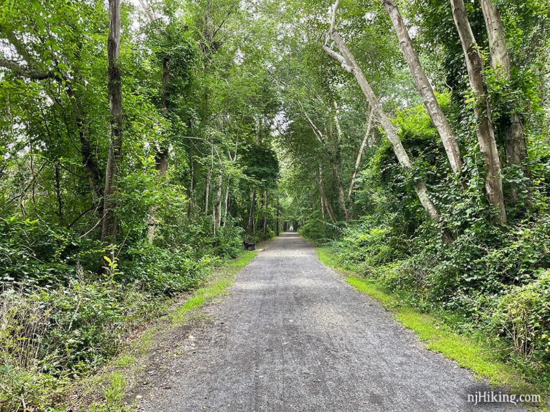Barnegat Branch Trail | njHiking.com