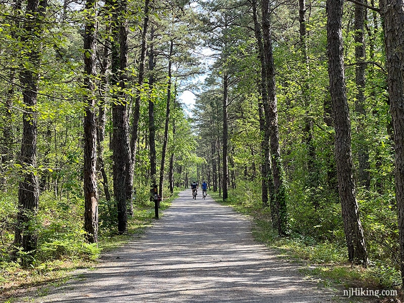 Barnegat Branch Trail | njHiking.com
