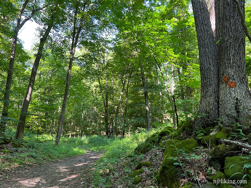 Kittatinny Valley State Park | njHiking.com