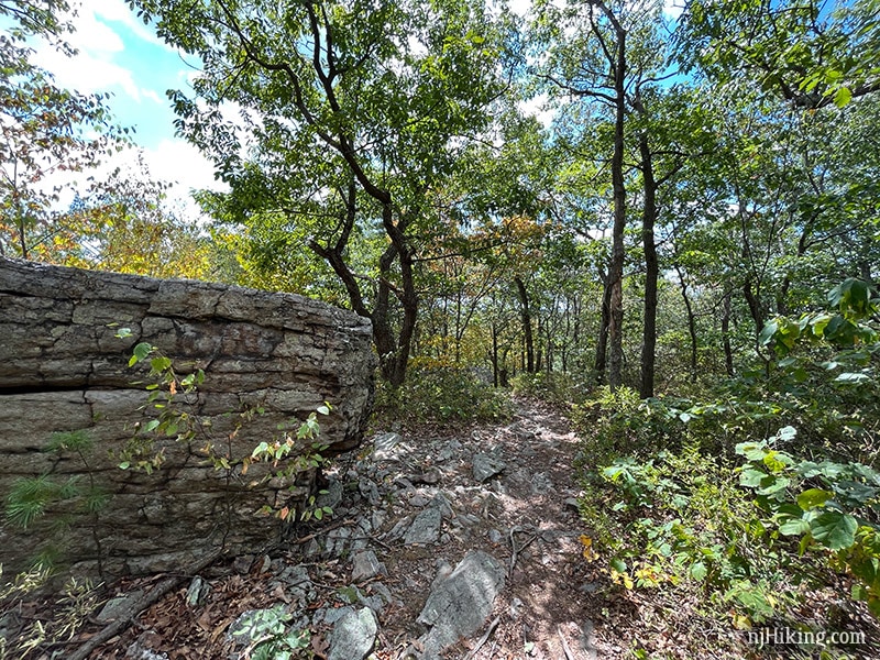 High Point State Park – Monument Trail via A.T. | njHiking.com