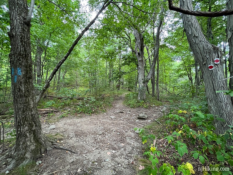 High Point State Park – Monument Trail via A.T. | njHiking.com