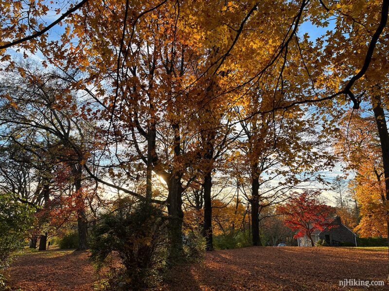 New Jersey Fall Foliage | njHiking.com