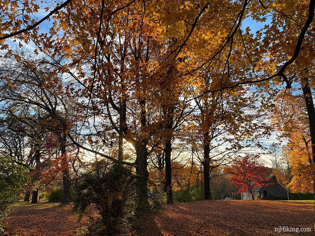 New Jersey Fall Foliage | njHiking.com