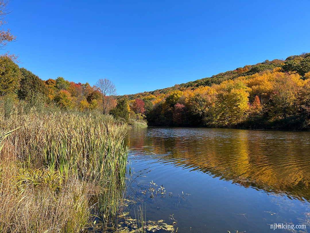 New Jersey Fall Foliage | njHiking.com