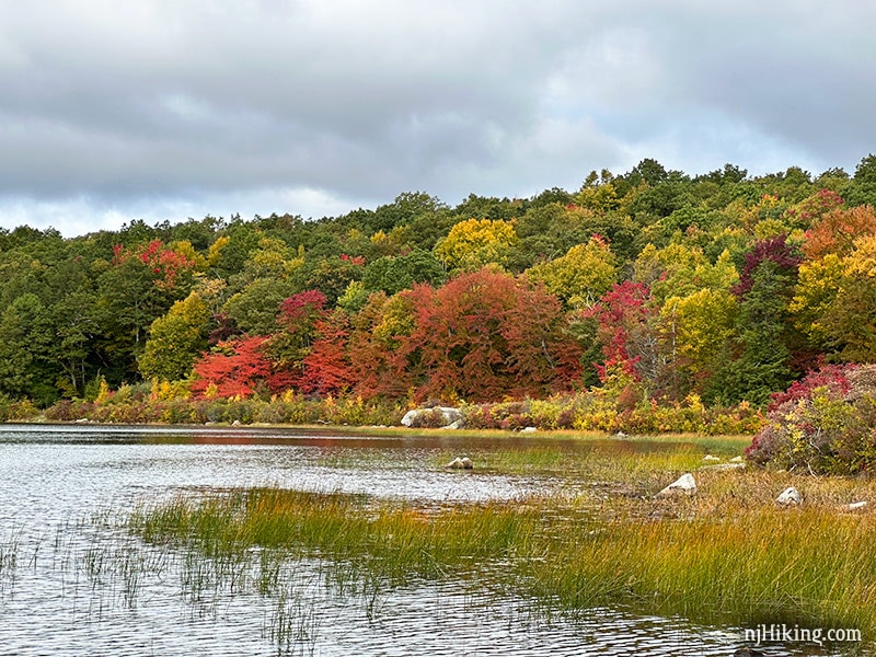 New Jersey Fall Foliage | njHiking.com