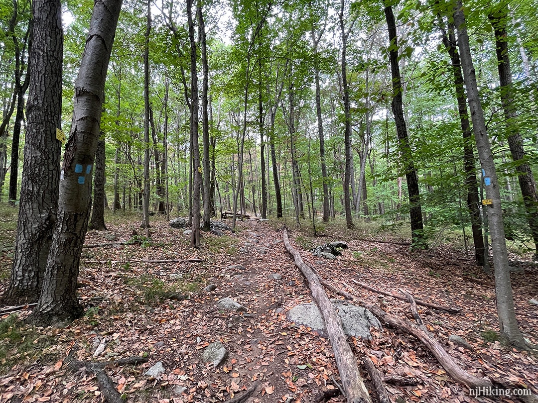 Splitrock Reservoir Loop | njHiking.com