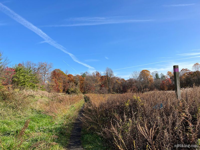 Watchung Reservation – History Trail | njHiking.com
