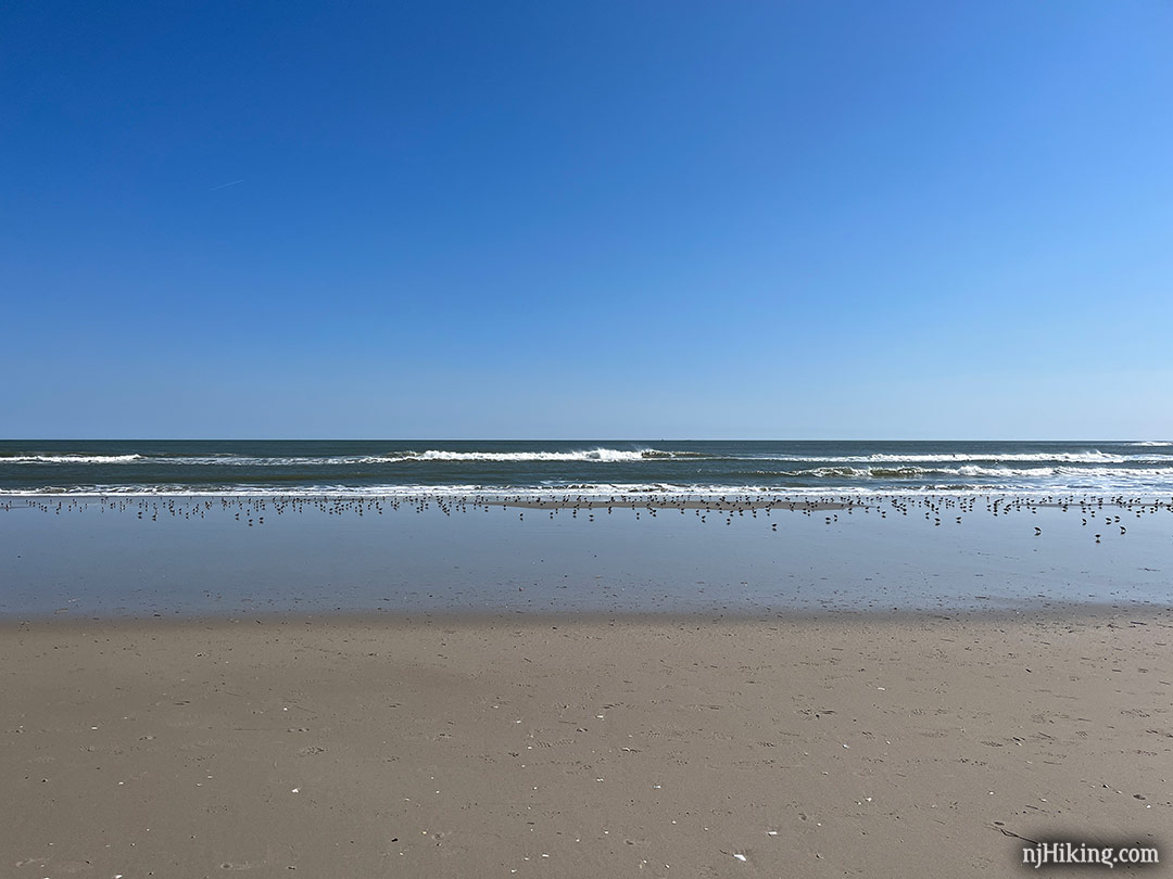 Corson’s Inlet State Park | njHiking.com