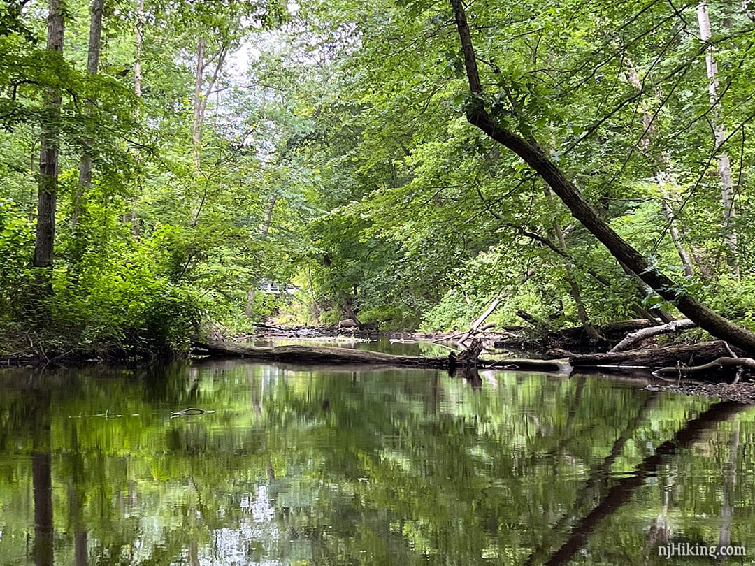 Farrington Lake Kayak | njHiking.com