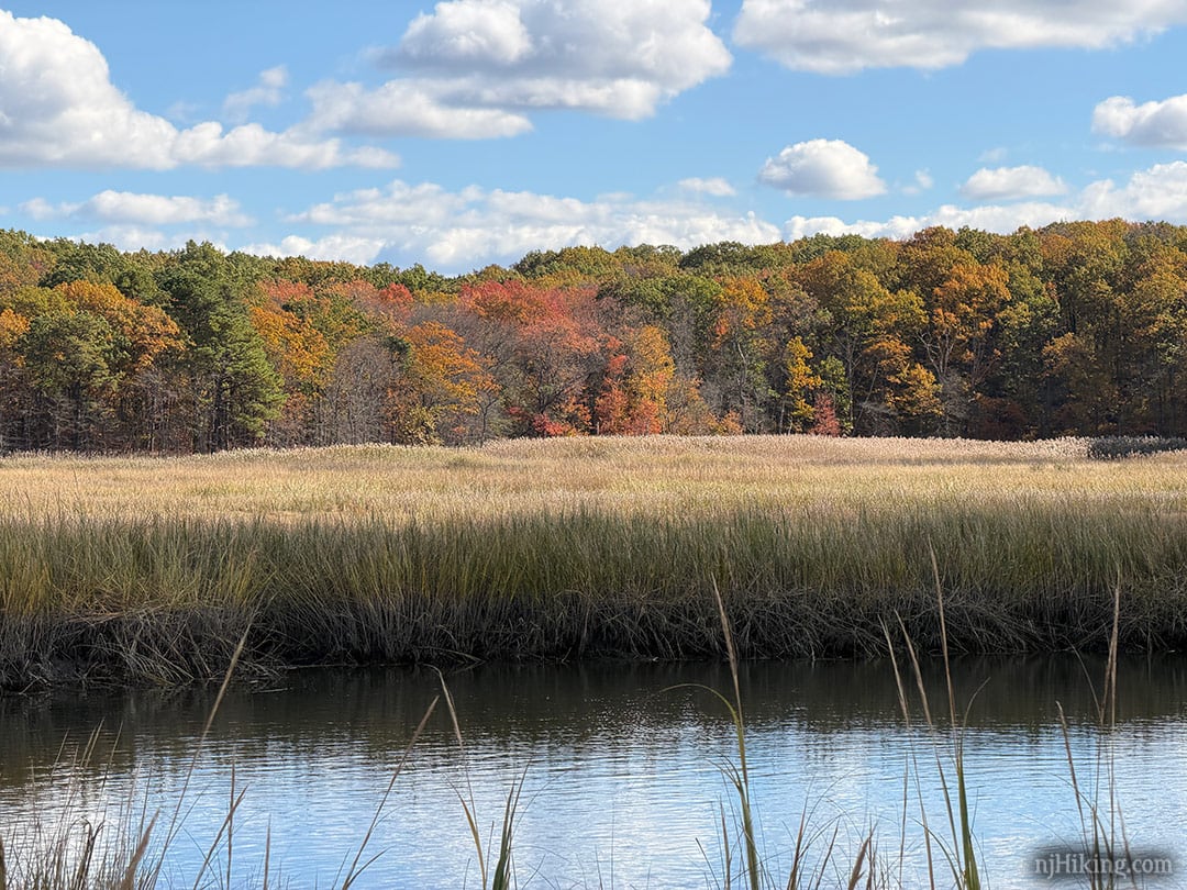 New Jersey Fall Foliage | njHiking.com
