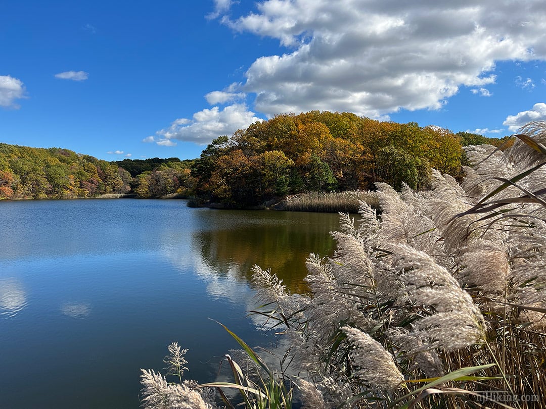 New Jersey Fall Foliage | njHiking.com