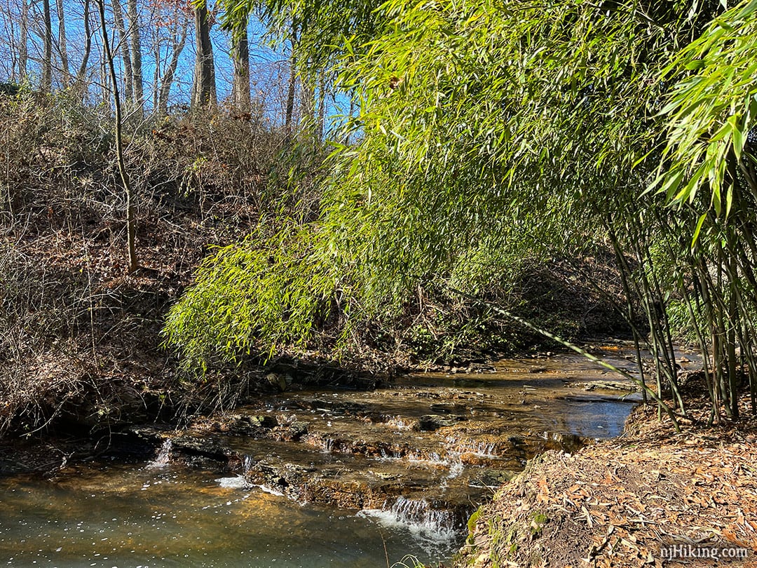 Helyar Woods at Rutgers Gardens | njHiking.com