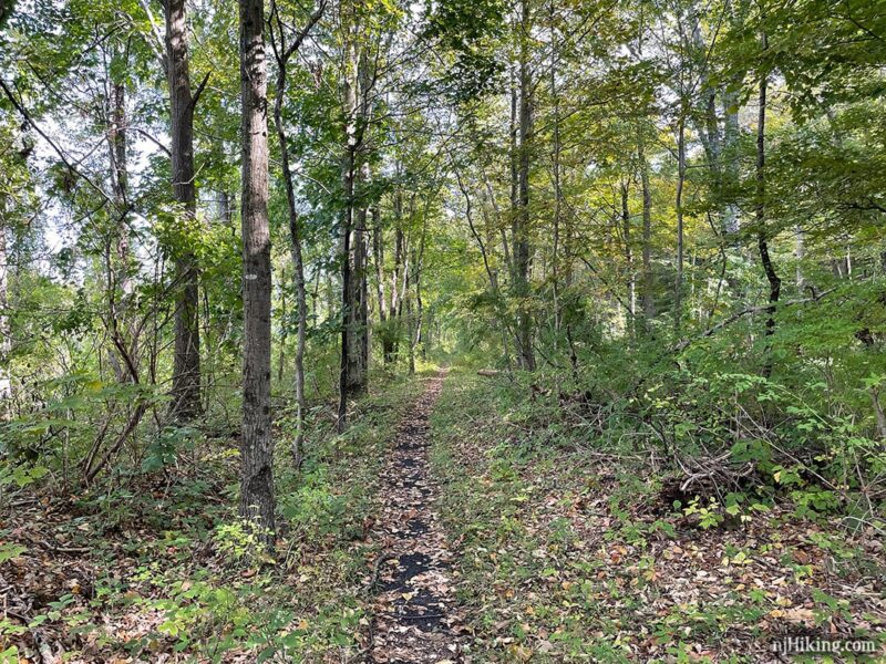 Great Valley Trail Loop | njHiking.com