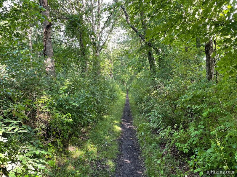 Great Valley Trail Loop | njHiking.com