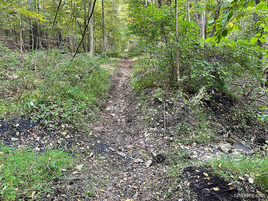 Great Valley Trail Loop | njHiking.com