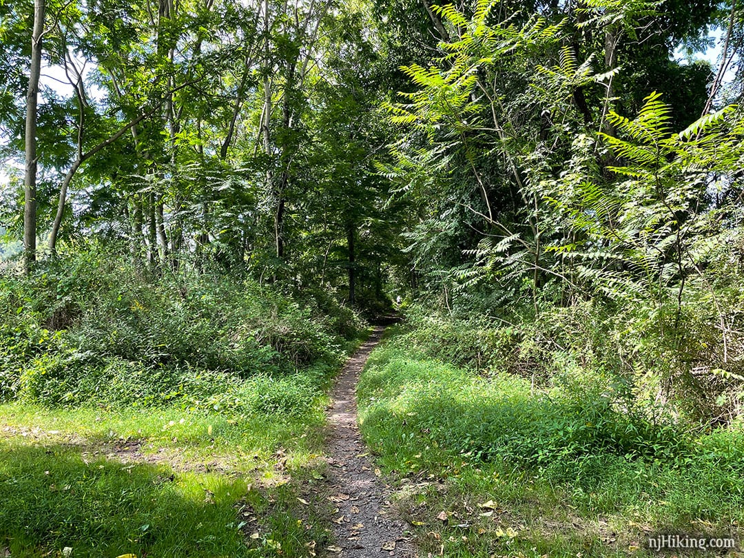 Paulinskill Valley Trail – Cedar Ridge to Viaduct | njHiking.com