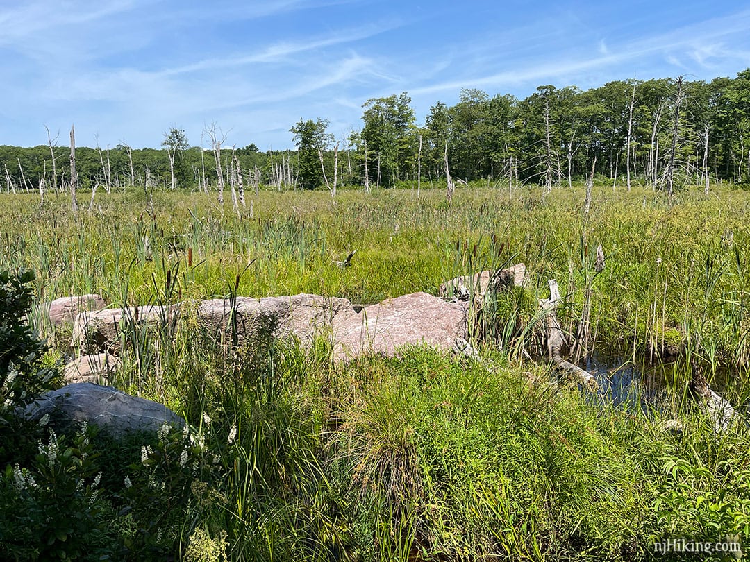Terrace Pond – West, Circular, North | njHiking.com