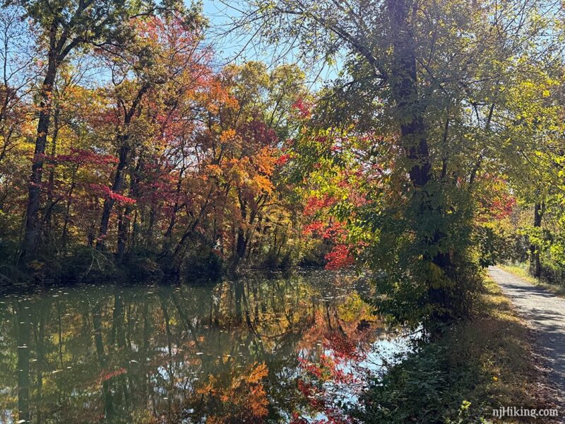 New Jersey Fall Foliage | njHiking.com