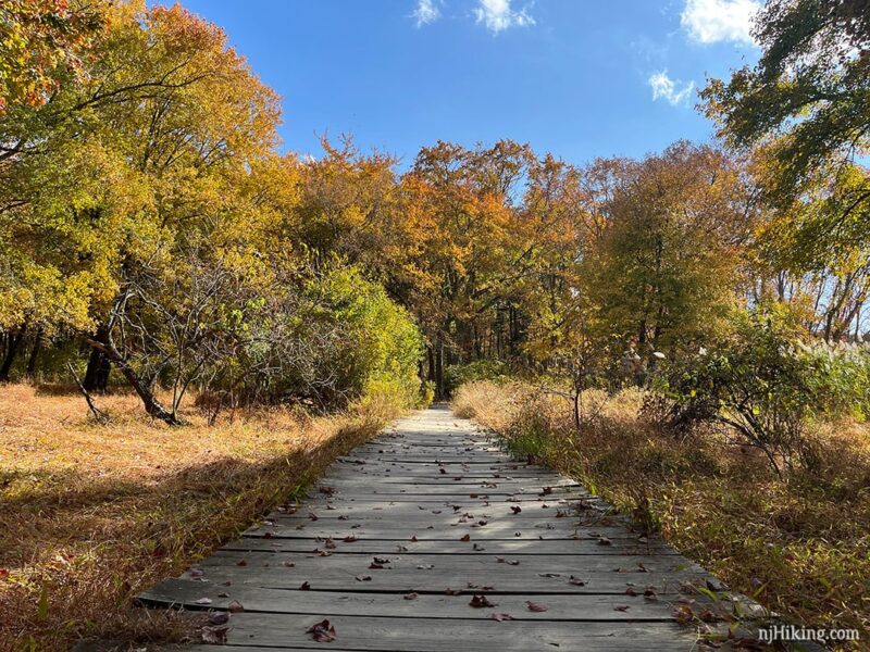 New Jersey Fall Foliage | njHiking.com