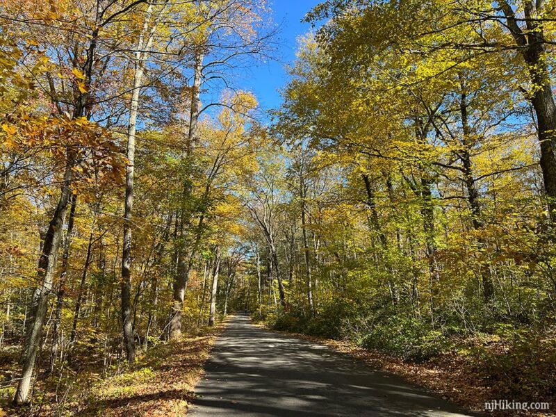 New Jersey Fall Foliage | njHiking.com