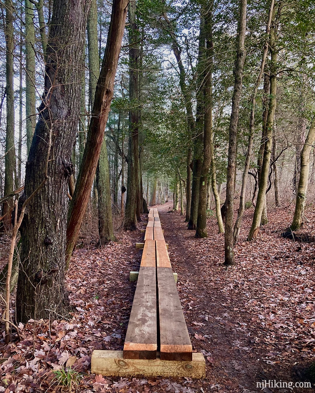 Parvin State Park | njHiking.com