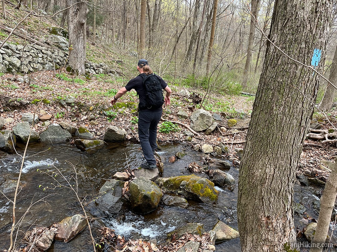 Jenny Jump Trail | njHiking.com