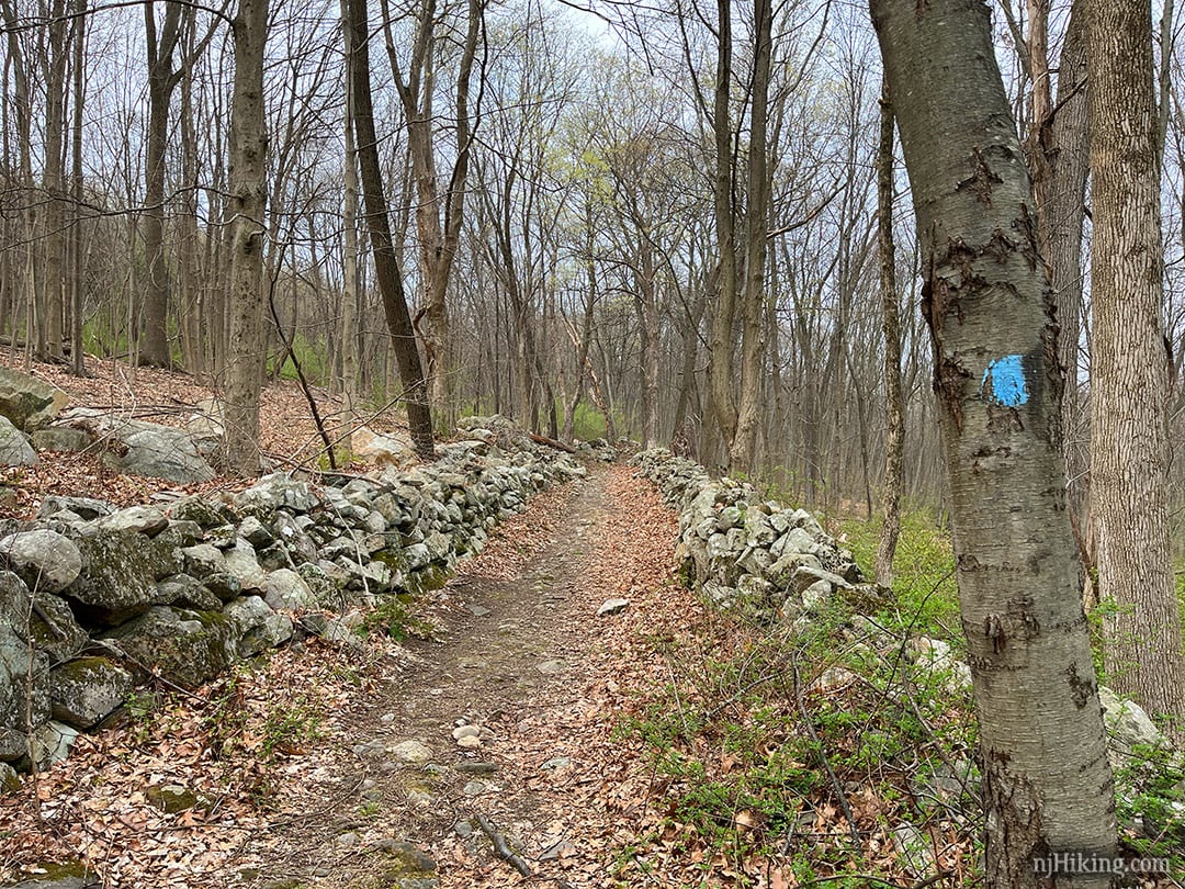 Jenny Jump Trail | njHiking.com