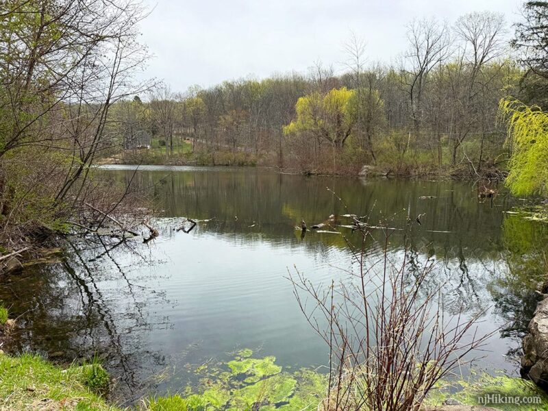 Jenny Jump Trail | njHiking.com