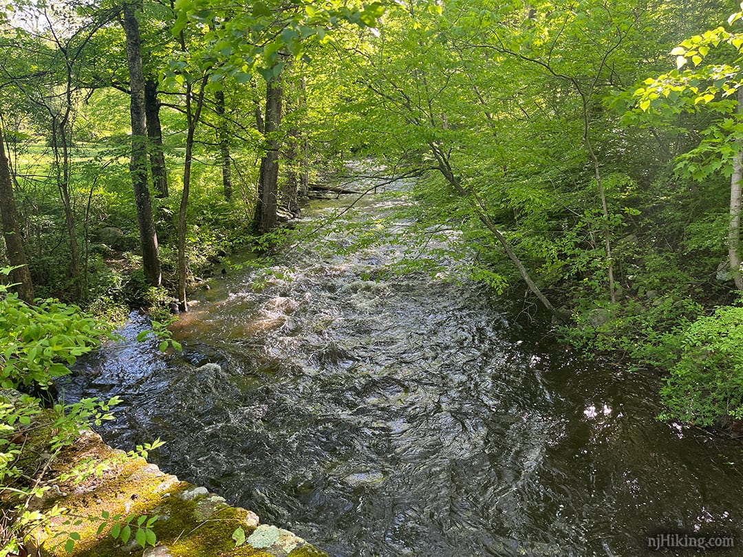 Governor Mountain – Ringwood State Park | njHiking.com