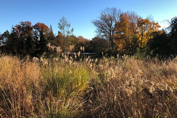 Duke Farms | njHiking.com